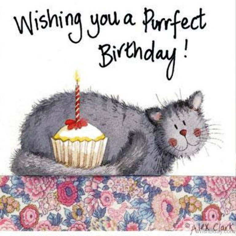 86 Cat Birthday Wishes 86 Cat Birthday Wishes